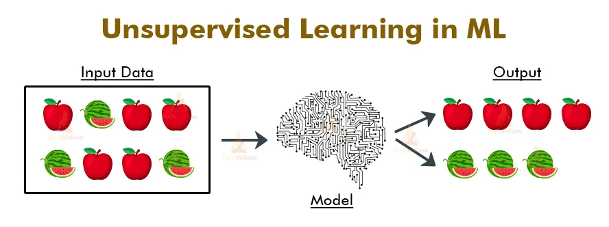 What is unsupervised learning? (With examples)
